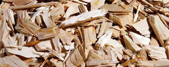 Pine Wood Chips